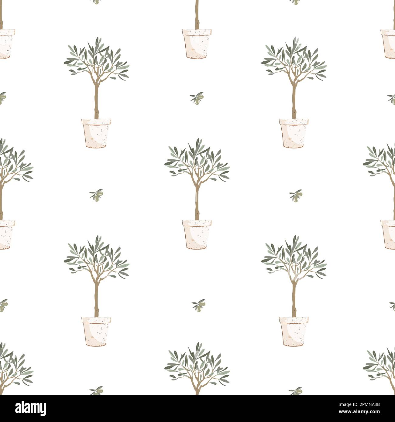 Young olive tree garden Stock Vector Images - Alamy