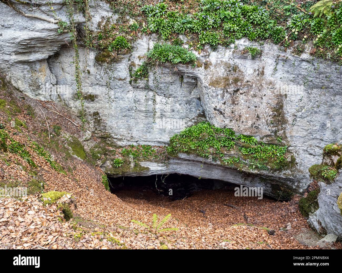 Cave of the Paules at Monte Santiago Stock Photo - Alamy