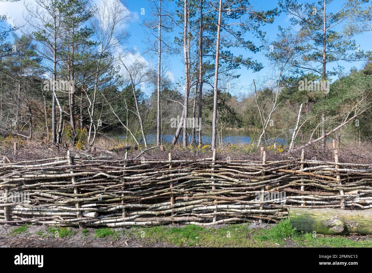 Made from branches hi-res stock photography and images - Alamy