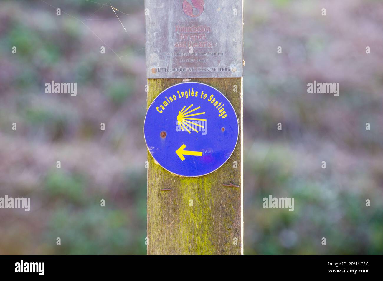 Camino ingles to santiago hi-res stock photography and images - Alamy