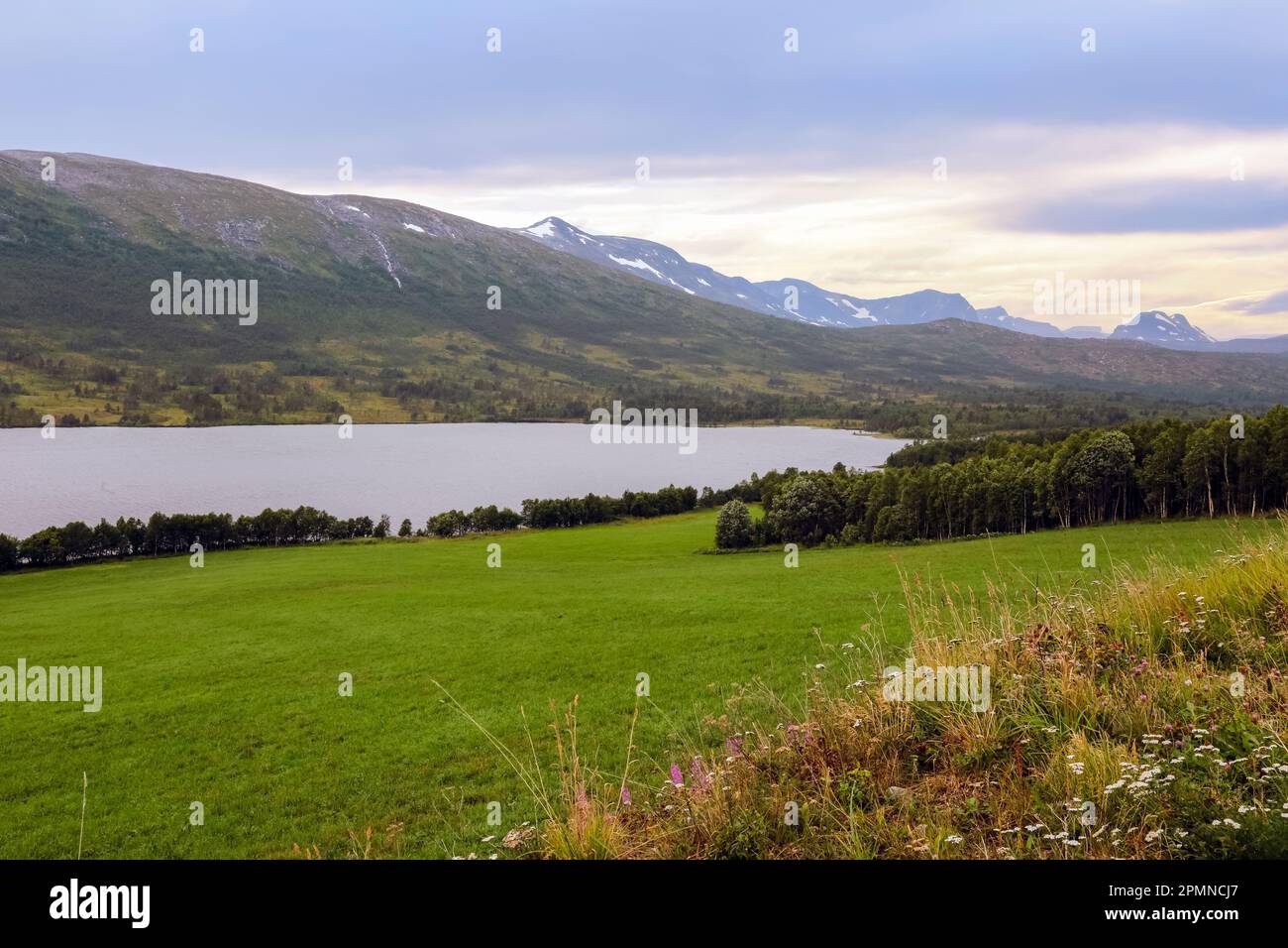 Aangardsvatnet is a lake in the municipality of Oppdal in Trøndelag ...