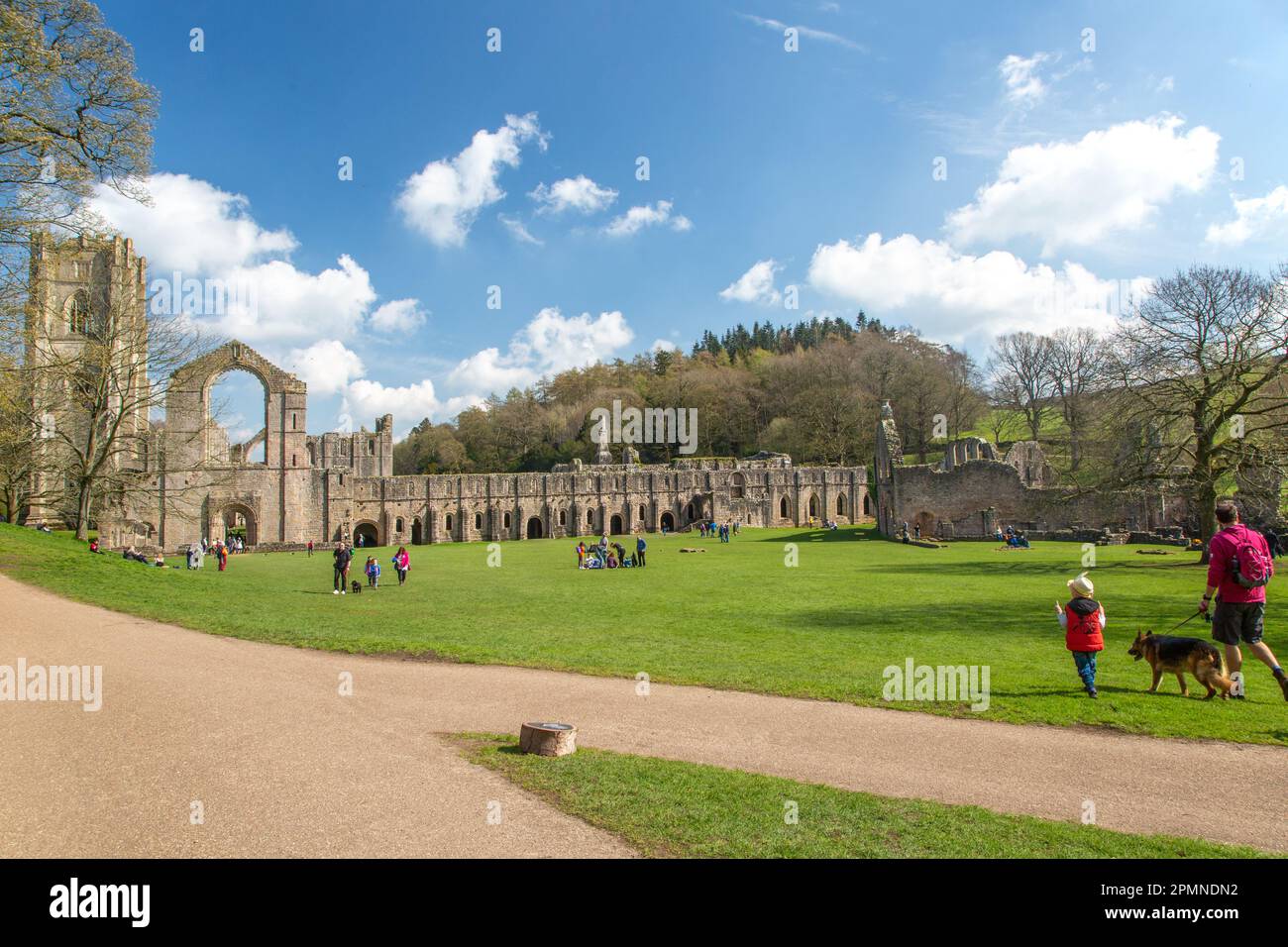 Fountains Abbey the remains of a Cistercian monastery now a National ...