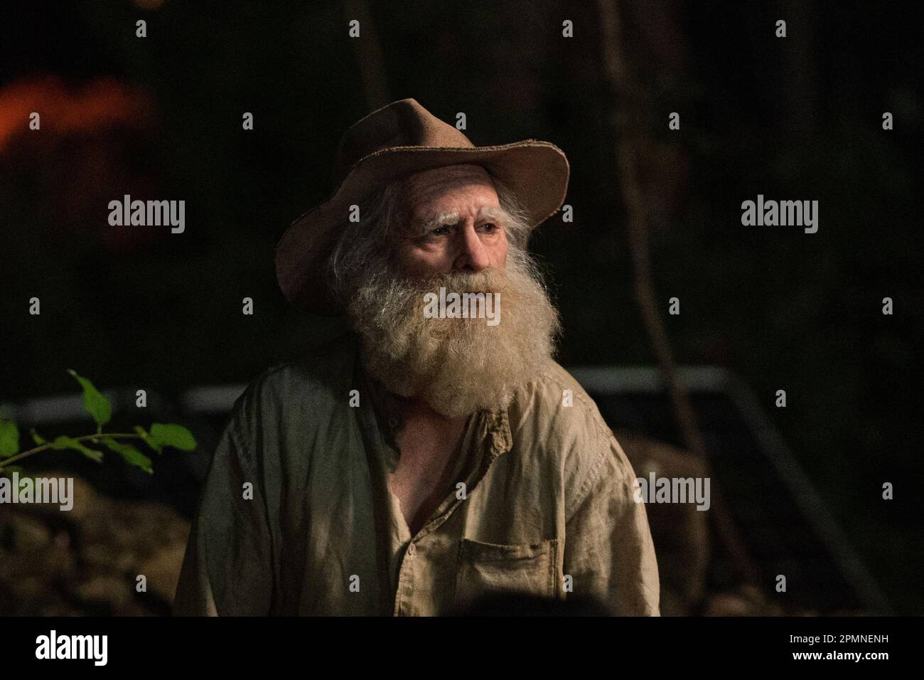 Beau Is Afraid 2023 Joaquin Phoenix Stock Photo - Alamy