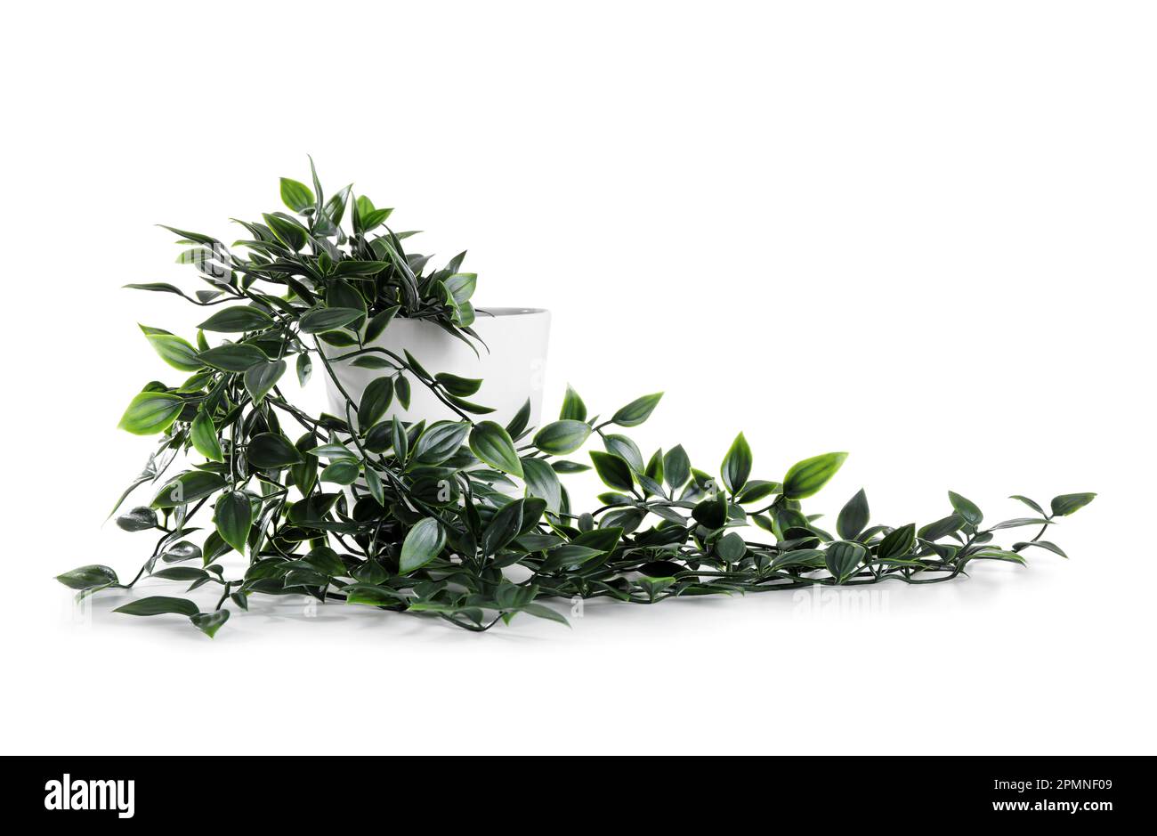 Fake garden plant Cut Out Stock Images & Pictures - Alamy