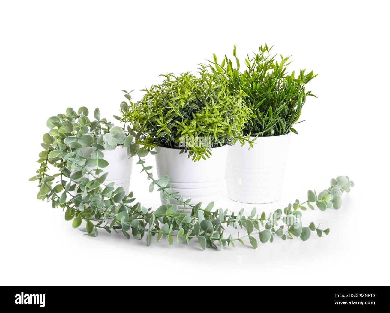 Fake garden plants Cut Out Stock Images & Pictures - Alamy