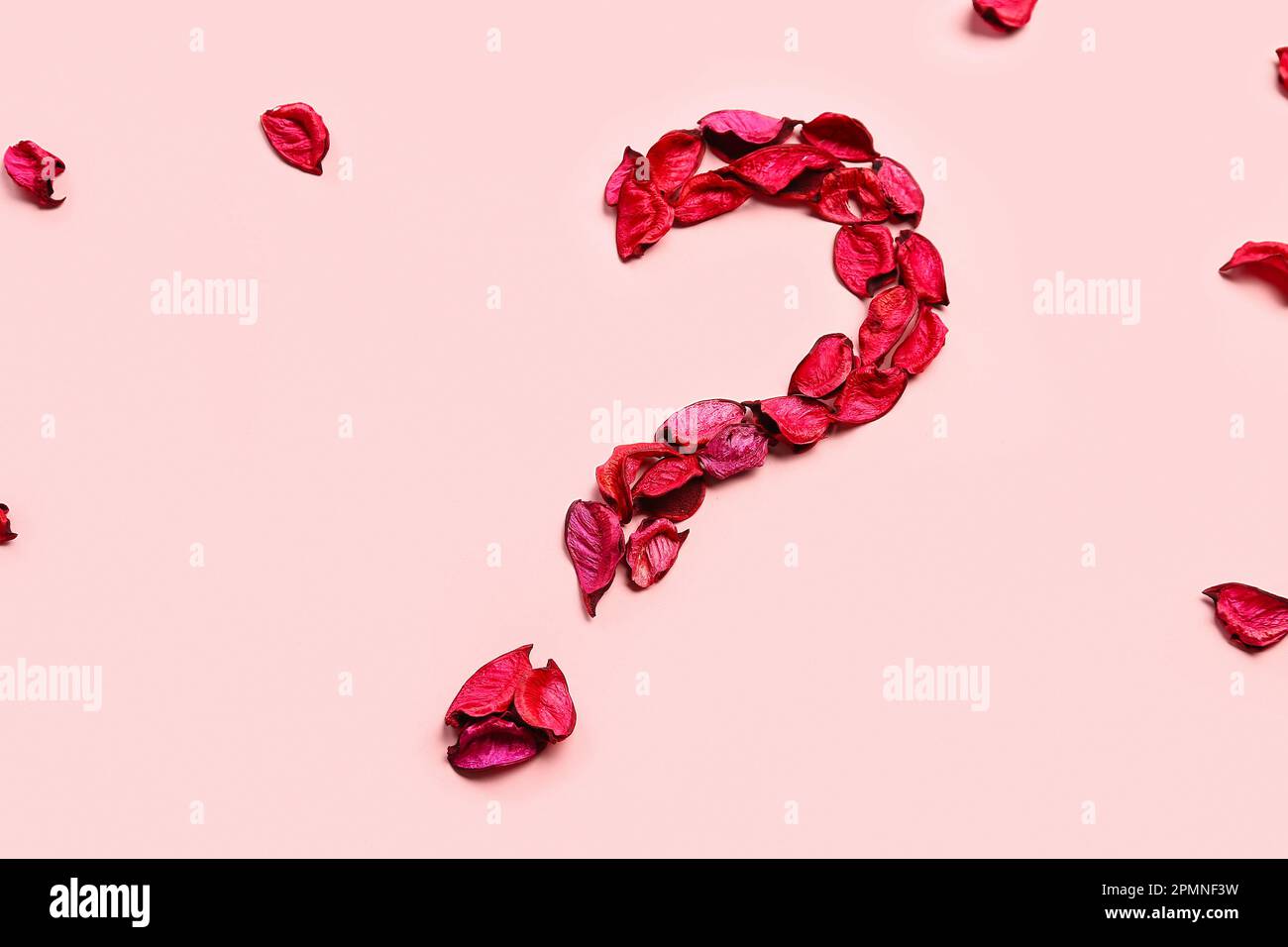 Question mark made of floral petals on pink background Stock Photo - Alamy