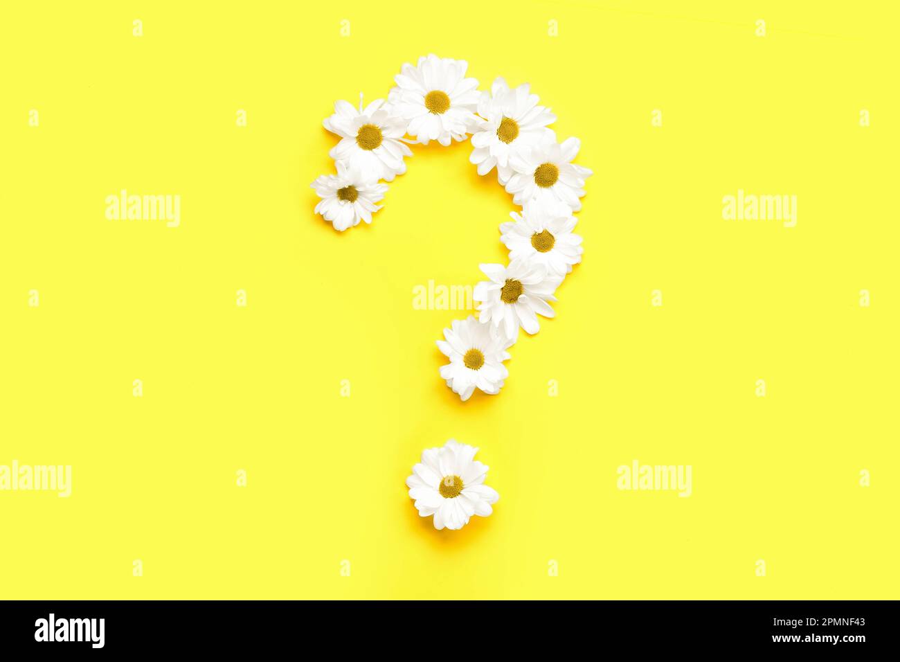 Question mark made of daisy flowers on yellow background Stock Photo ...