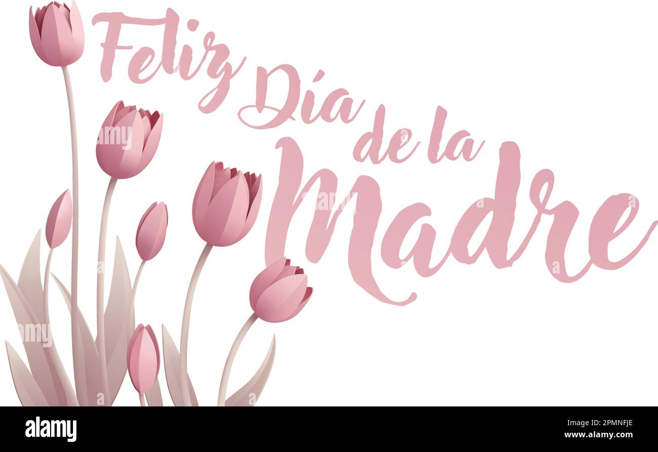 Mothers Day Spanish Feliz Dia De La Madre Design Stock Vector Image ...