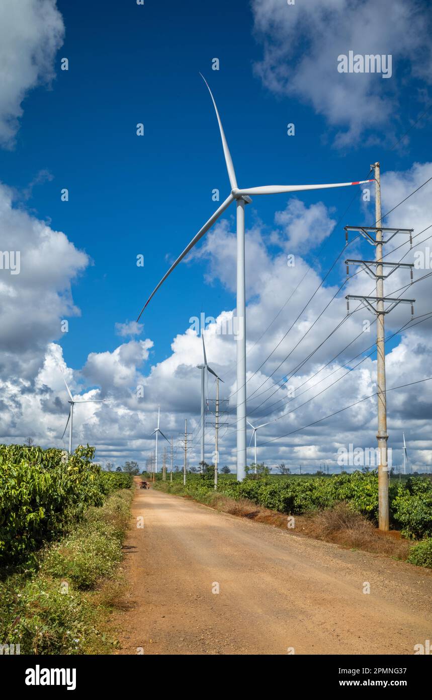 A rural track running alongside electricity transmission lines, coffee ...