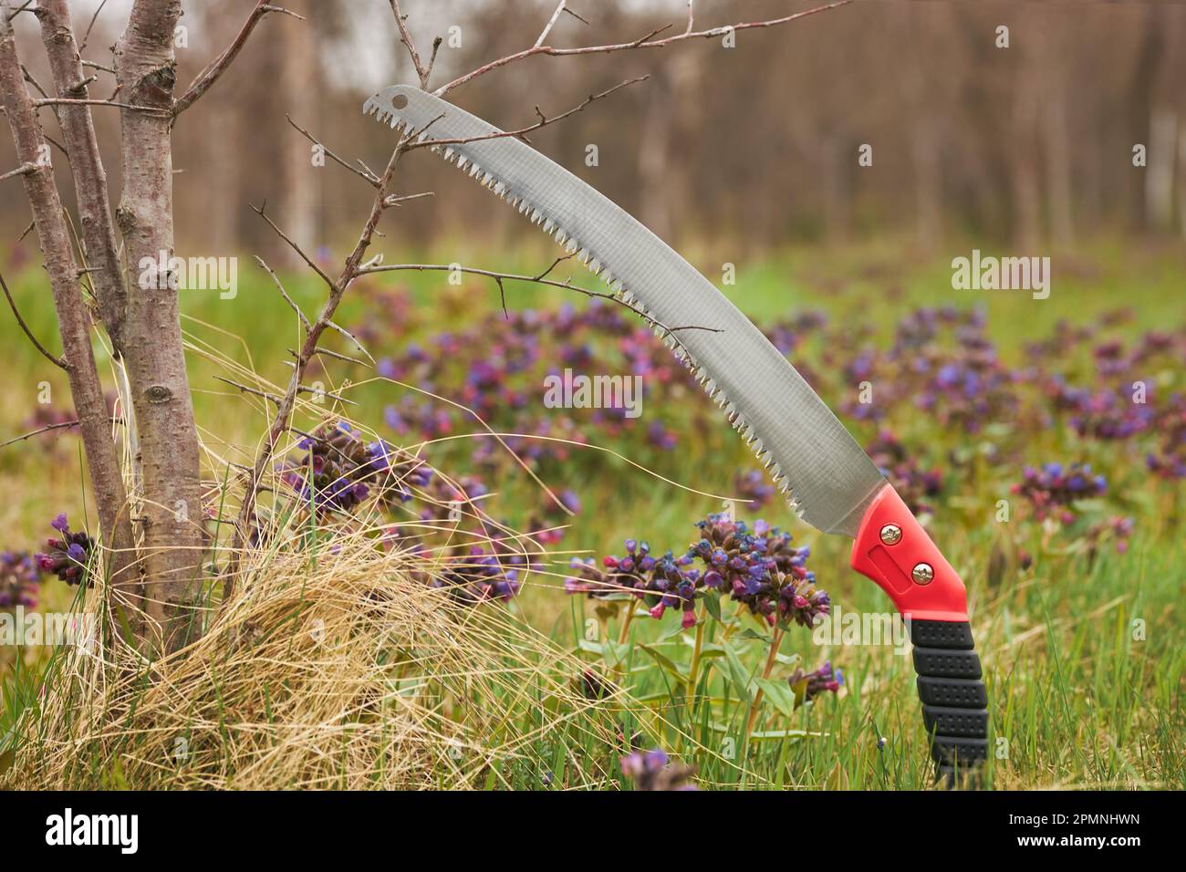 Modern tool used by gardeners Stock Photo - Alamy