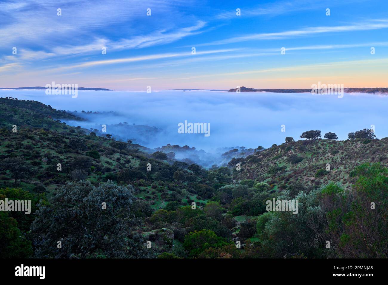 Landscape in Sierra de Andújar, blue morning sunrise with clod fog ...