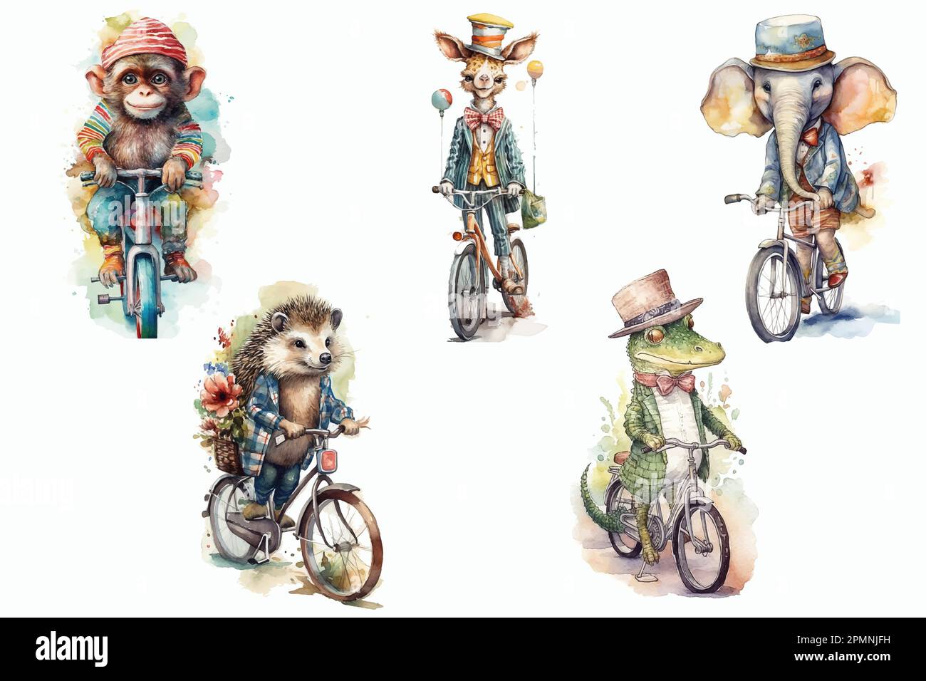 Monkey on bike hi-res stock photography and images - Alamy