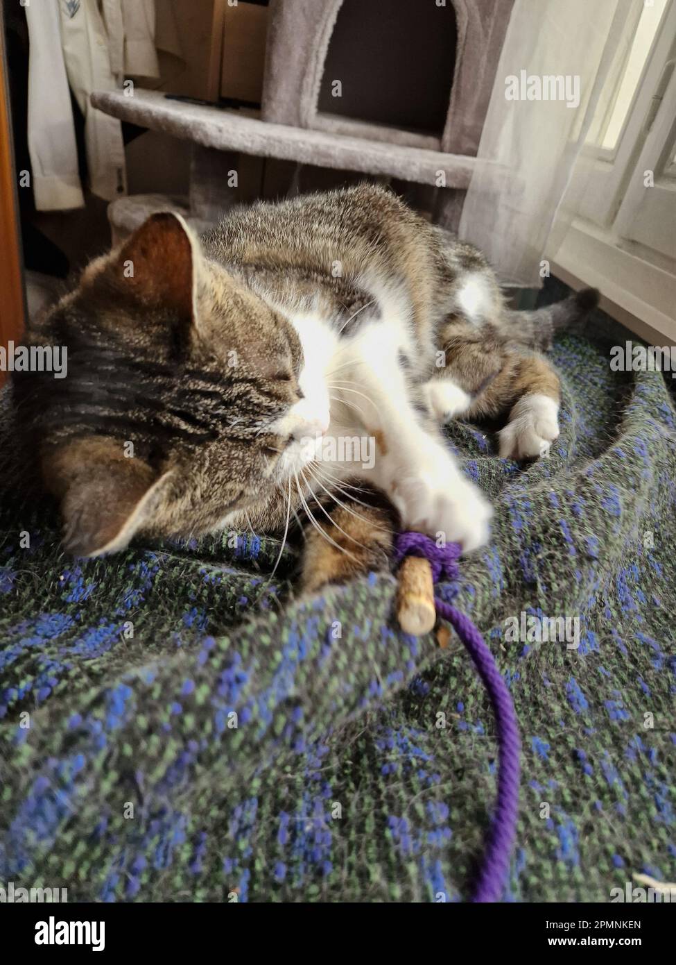 Real life snaphot hi-res stock photography and images - Alamy