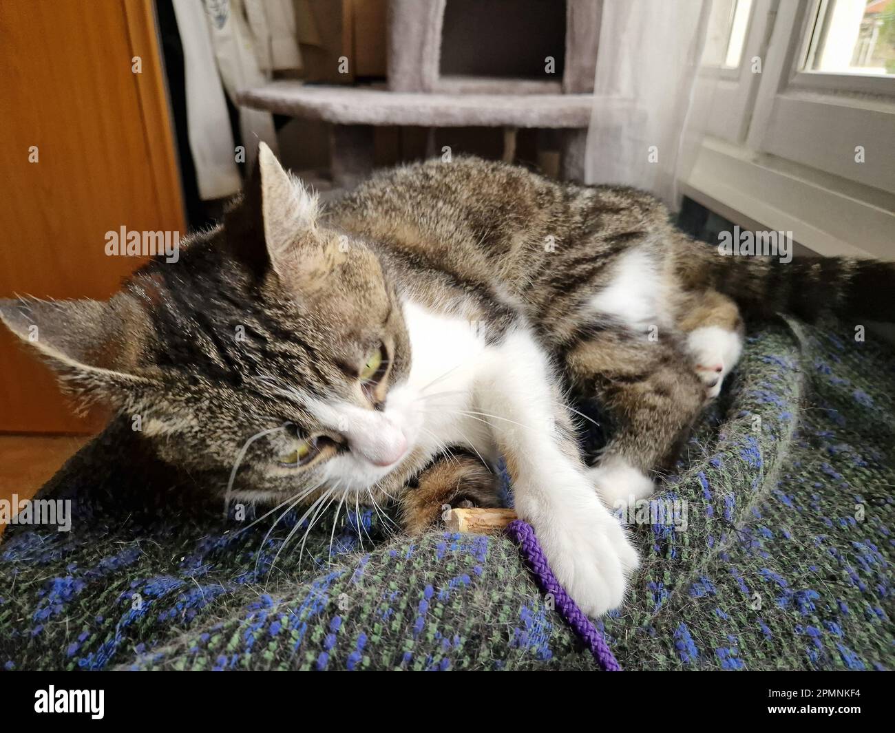 Real life snaphot hi-res stock photography and images - Alamy