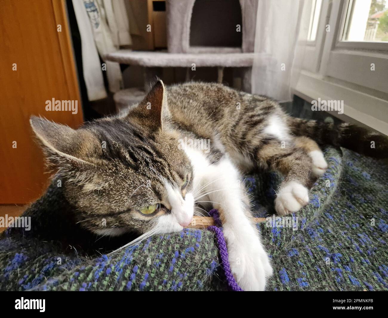 Real life snaphot hi-res stock photography and images - Alamy
