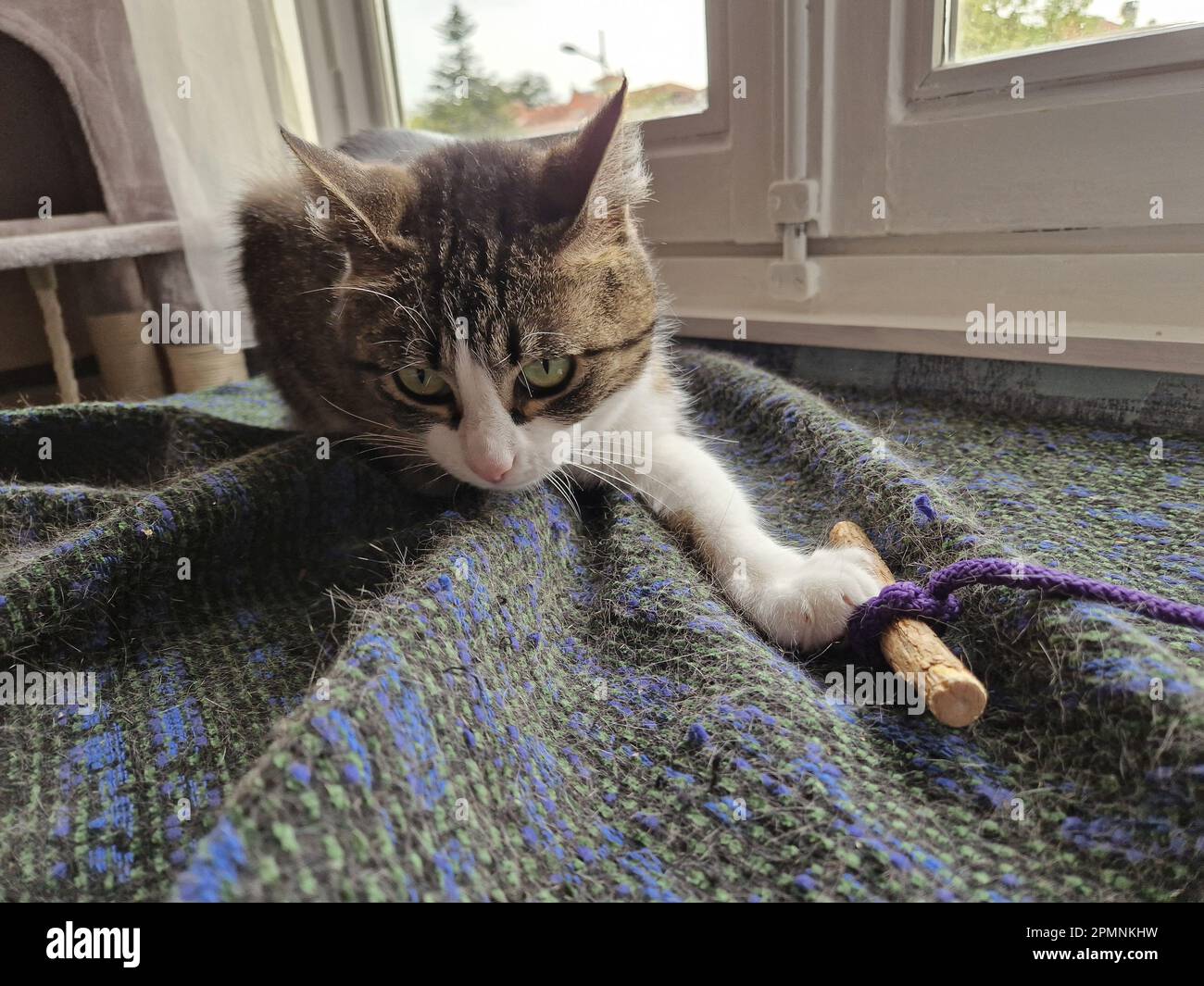 Real life snaphot hi-res stock photography and images - Alamy