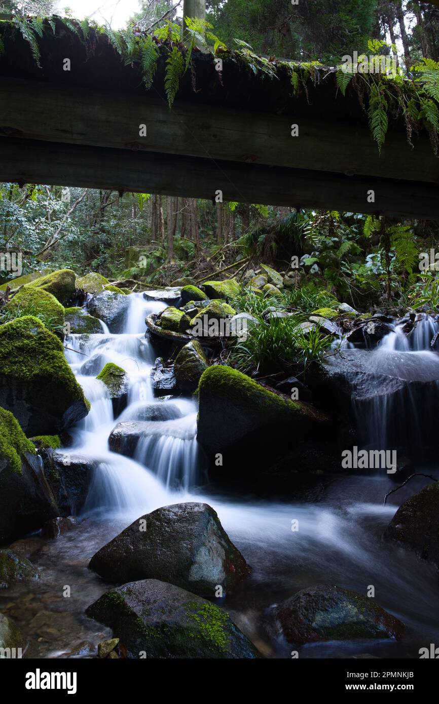 river under the bridge Stock Photo - Alamy