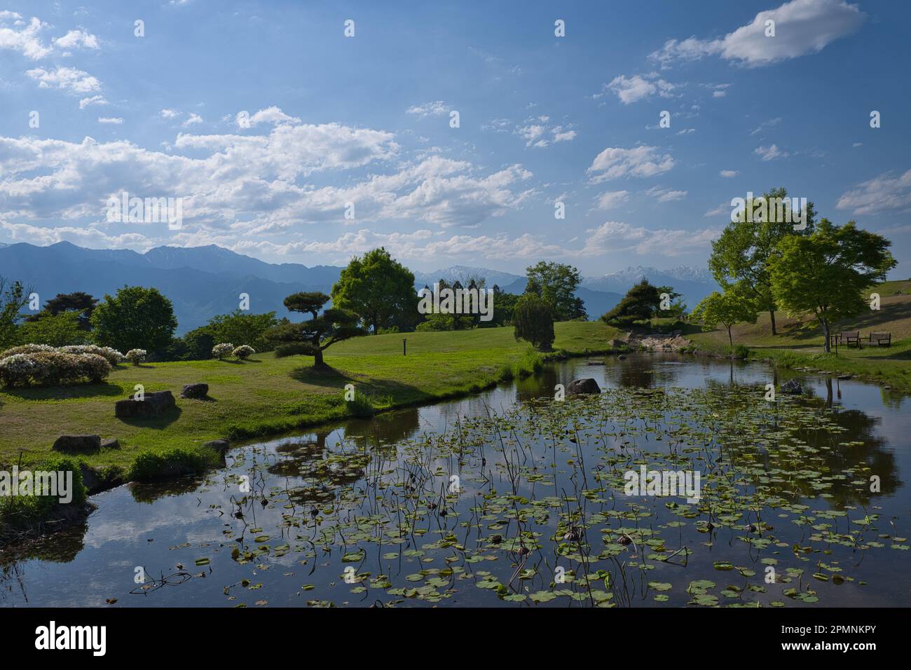 pond and mountain view Stock Photo - Alamy
