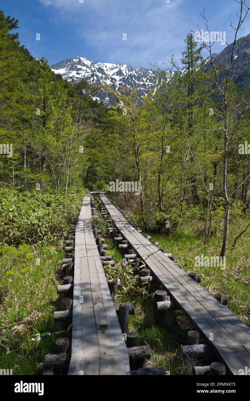 the path to alps Stock Photo - Alamy