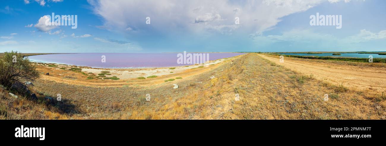 Pink extremely salty Syvash Lake, colored by microalgae (Putrid Rotten ...