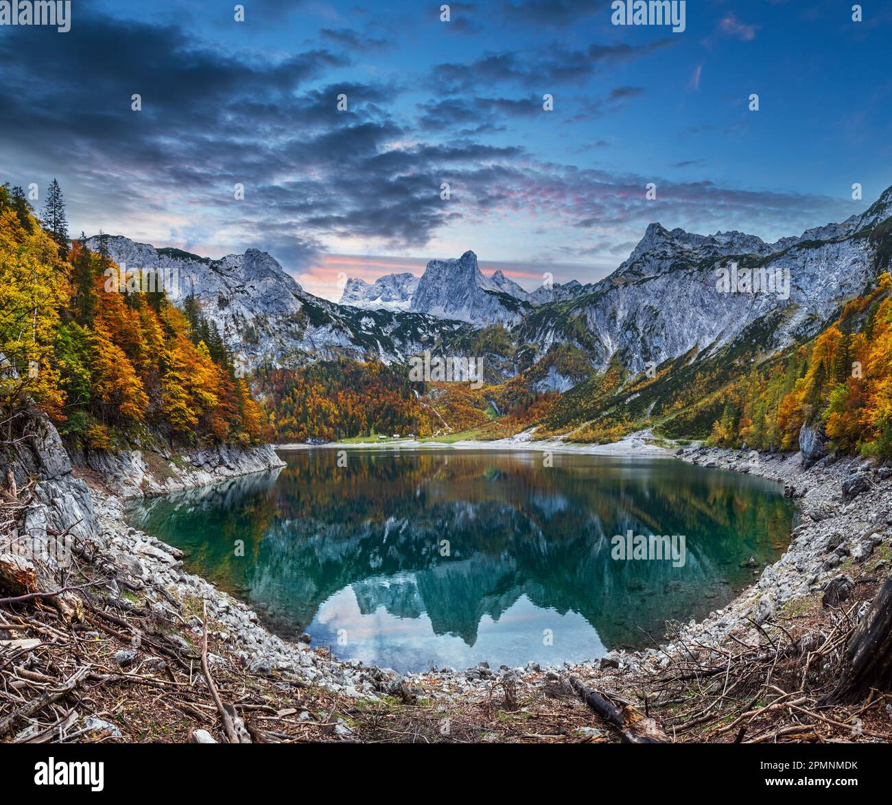 Tree stumps after deforestation near Hinterer Gosausee lake, Upper ...