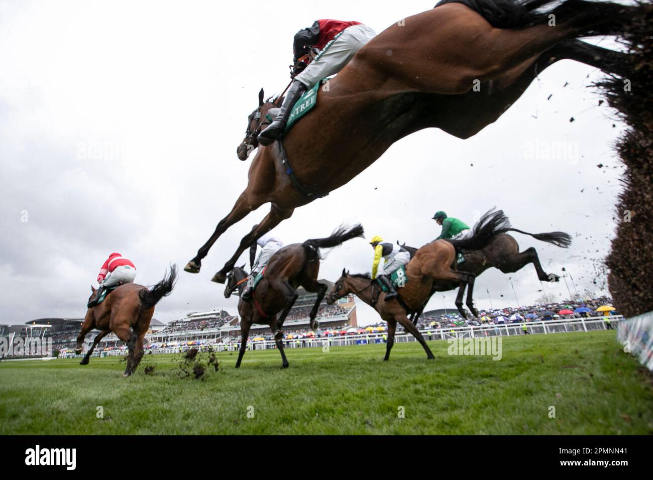 Horses jump the final fence in The Air Charter Service Mildmay Novices ...