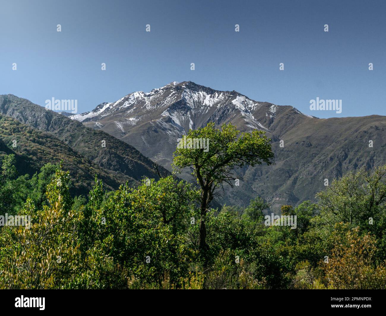 Foreground features tall trees hi-res stock photography and images - Alamy