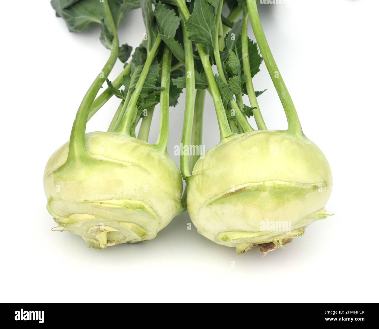 Kohlrabi, Brassica oleracea var. gongylodes, ist eine wohlschmeckende ...