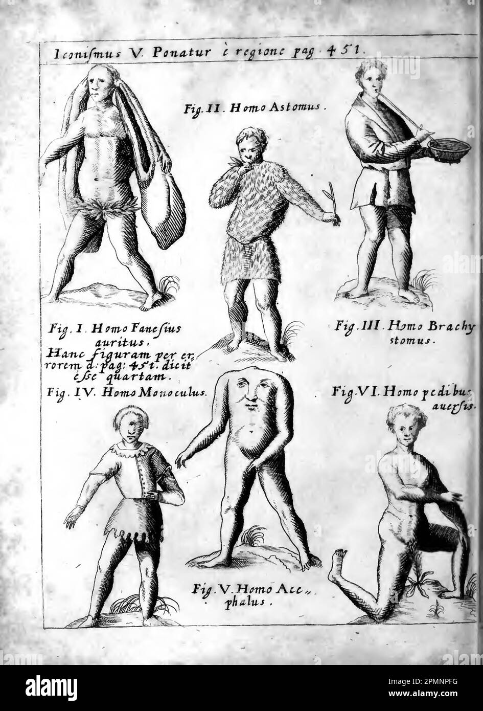 P. Gasparis Schotti, regis curtani ... Physica curiosa, sive, Mirabilia ...