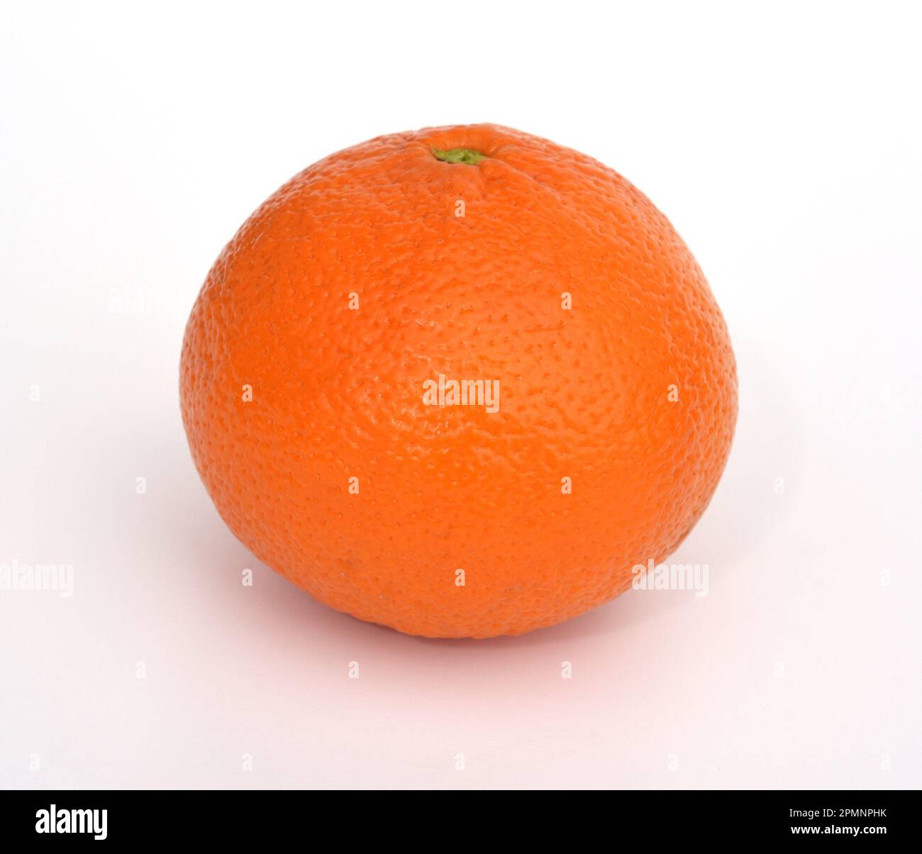 Orange, Citrus sinensis, ist eine exotische Frucht die auch getrocknet ...