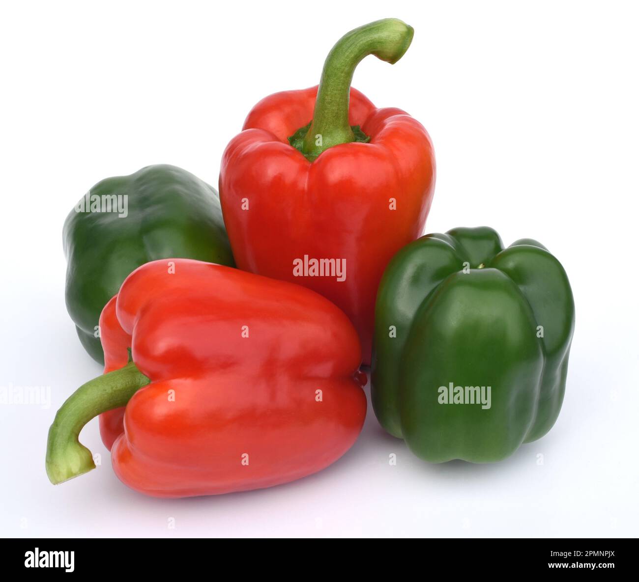 Paprika, Capsicum annuum ist eine Gemueseart die zum Teil recht scharf ...