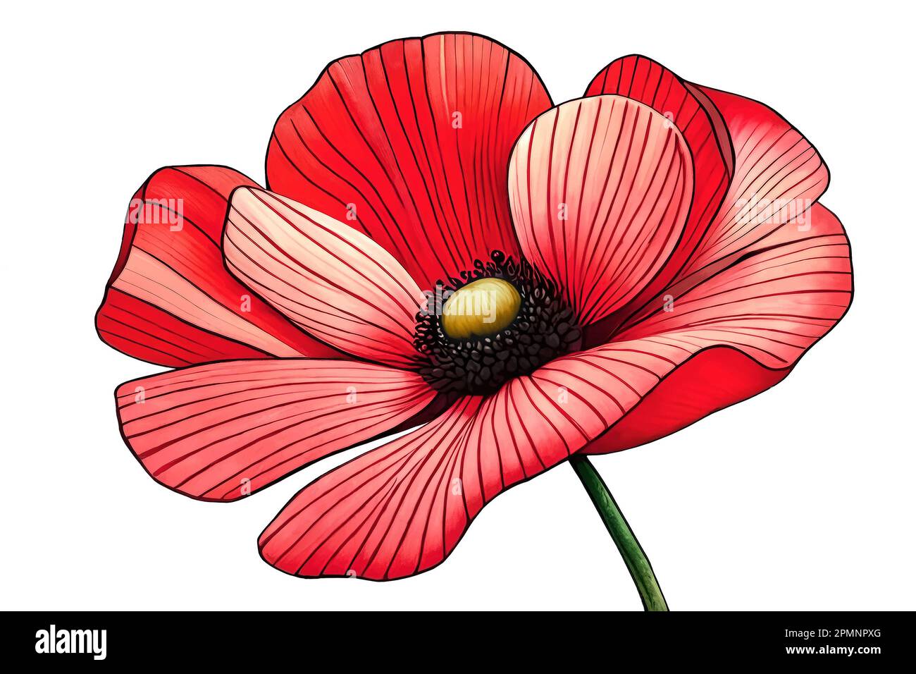 Stylized illustration of single red poppy digital painting, cartoon ...