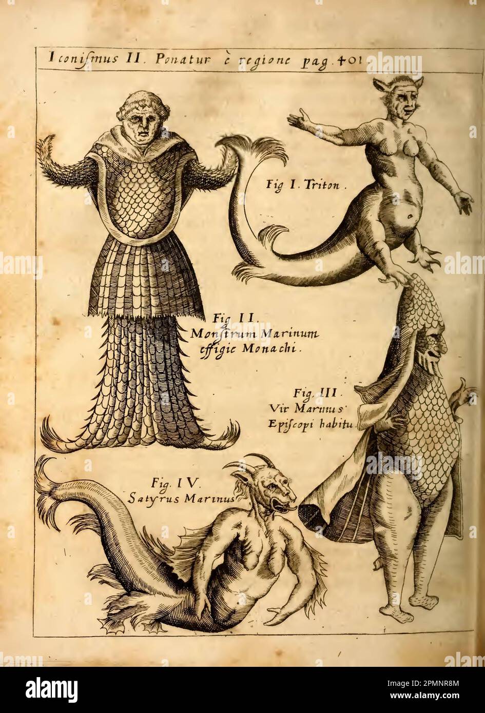 P. Gasparis Schotti, regis curtani ... Physica curiosa, sive, Mirabilia ...