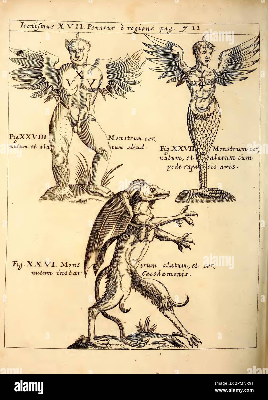 P. Gasparis Schotti, regis curtani ... Physica curiosa, sive, Mirabilia ...