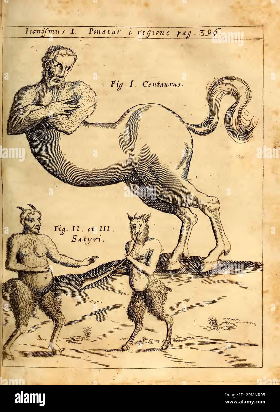 P. Gasparis Schotti, regis curtani ... Physica curiosa, sive, Mirabilia ...