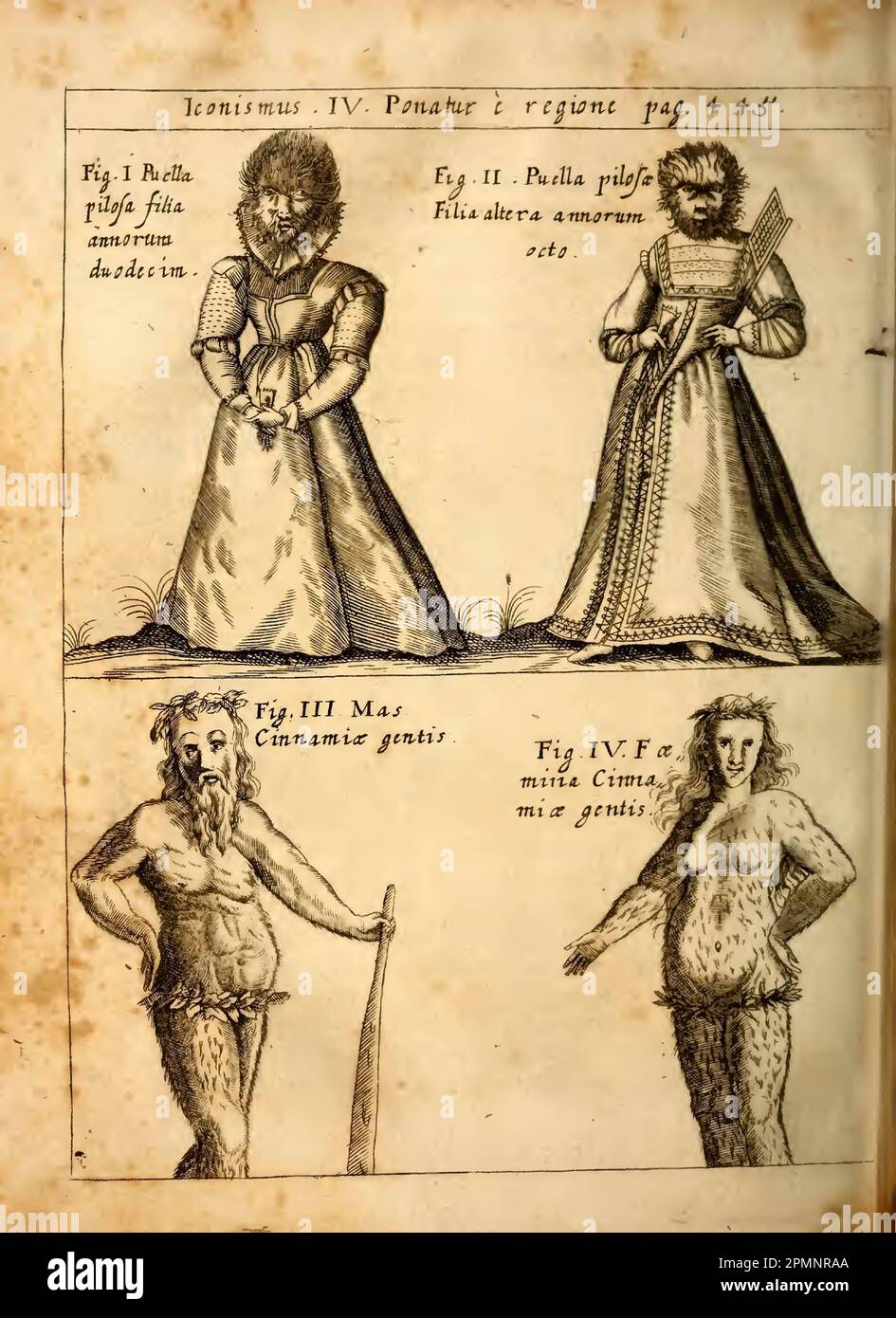 P. Gasparis Schotti, regis curtani ... Physica curiosa, sive, Mirabilia ...