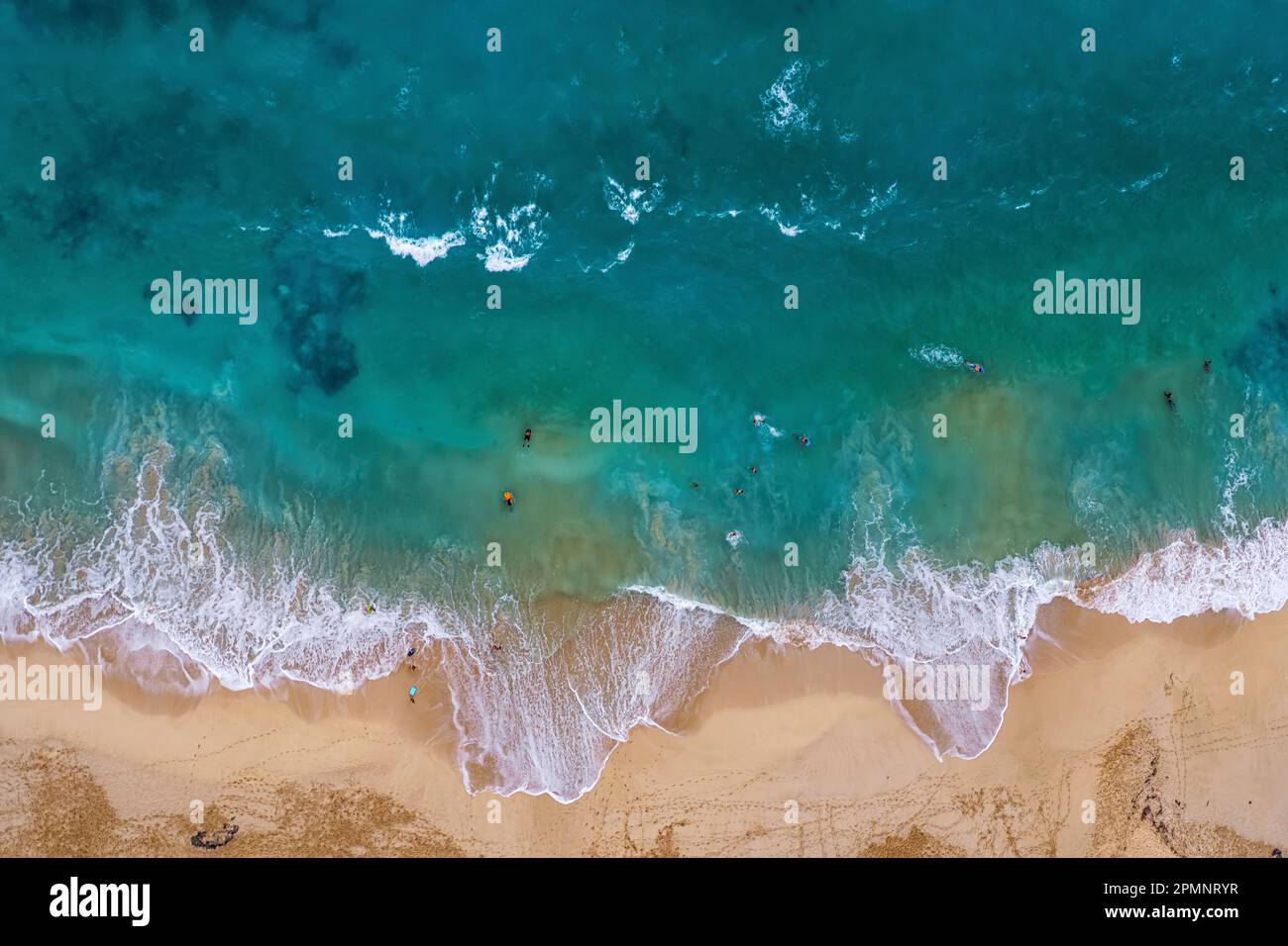 Hawaii tourist snorkeling hi-res stock photography and images - Alamy