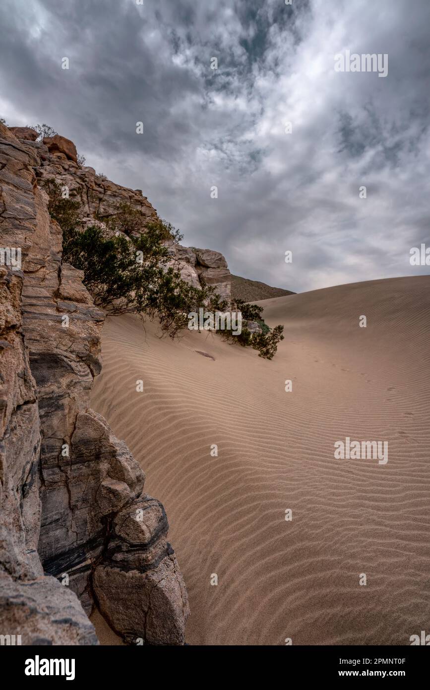 Sand dunes and rocky cliffs of the desert with a cloudy sky; Palm ...