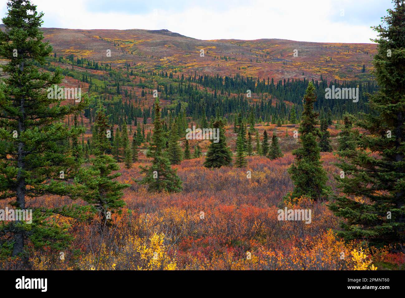 Blended shades hi-res stock photography and images - Alamy