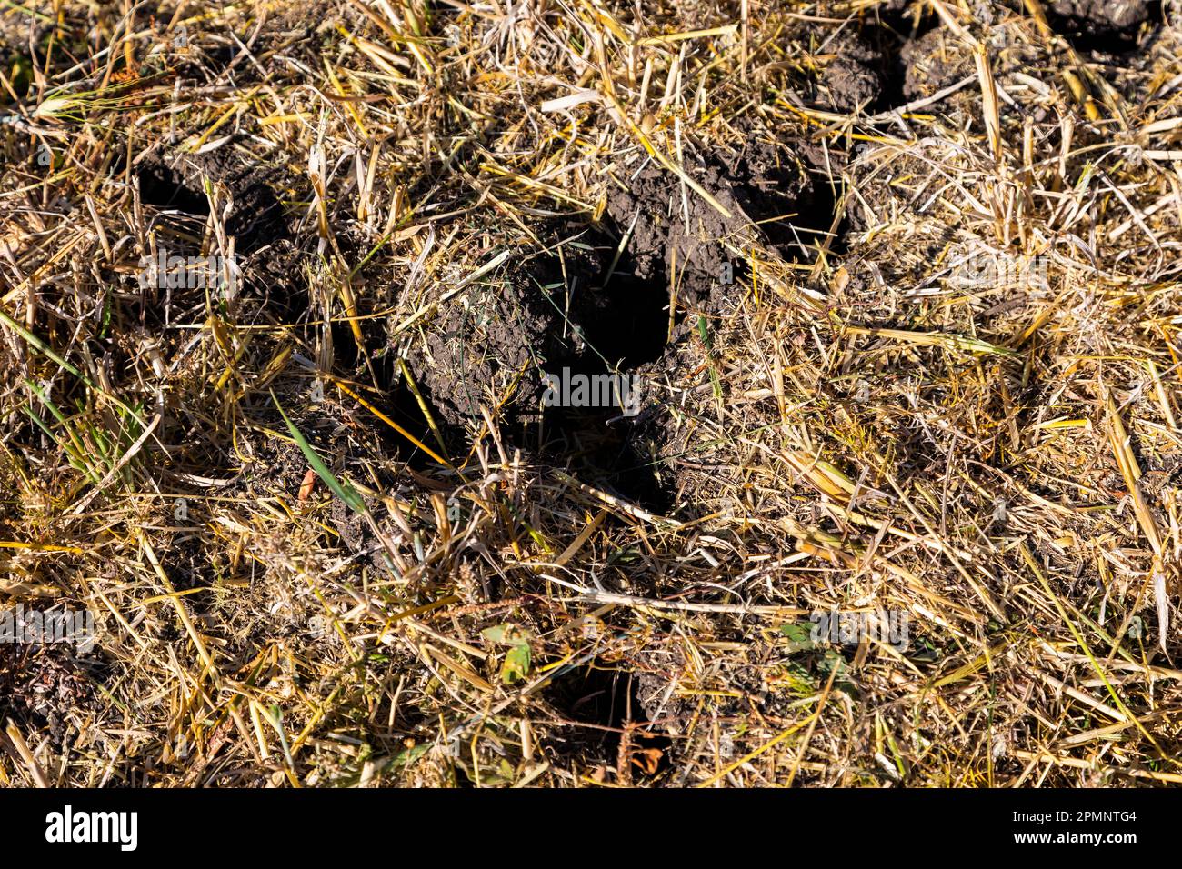 Dried out land in drought hi-res stock photography and images - Alamy