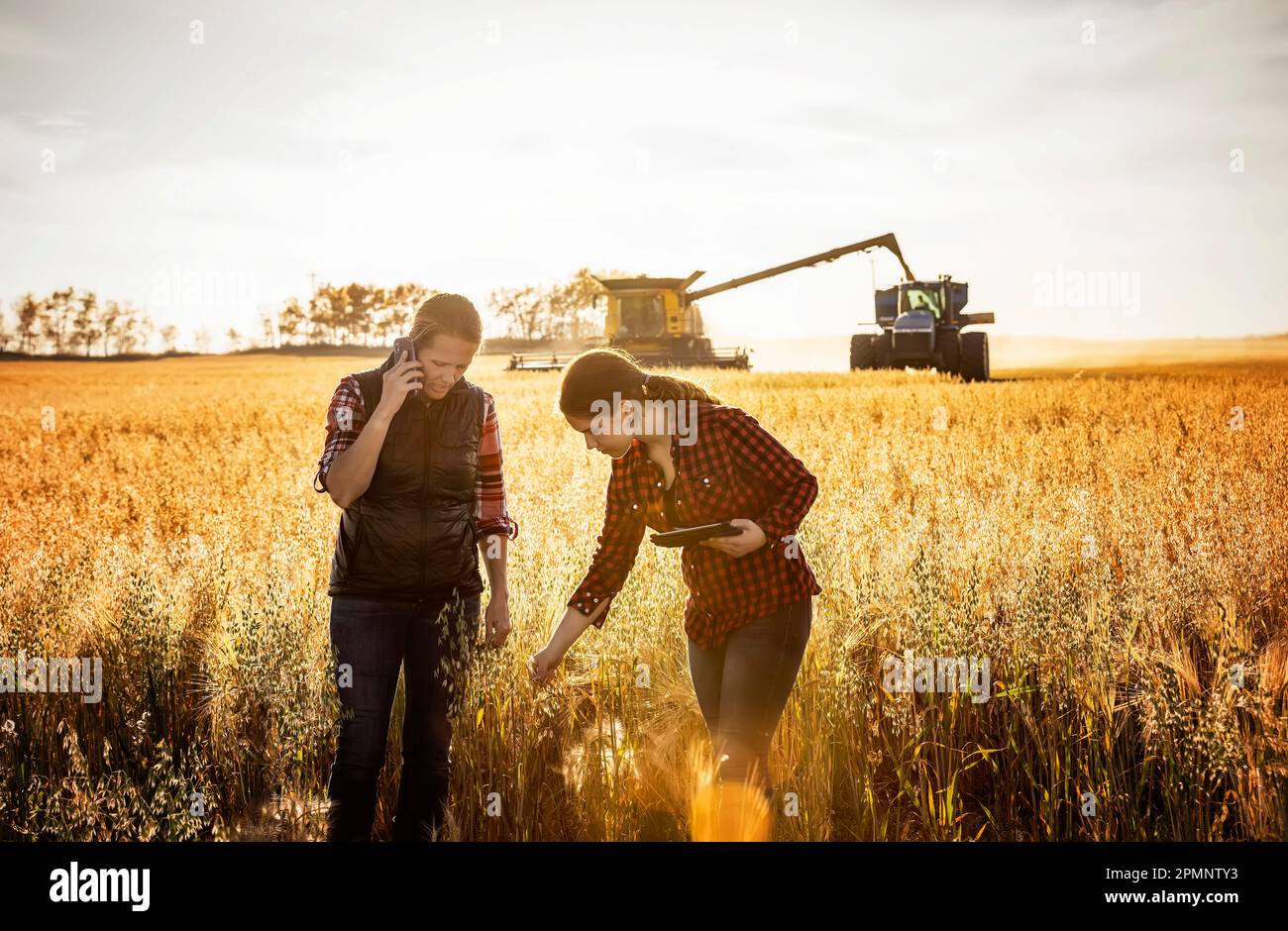 A mature farm woman standing in a field making a call while inspecting ...