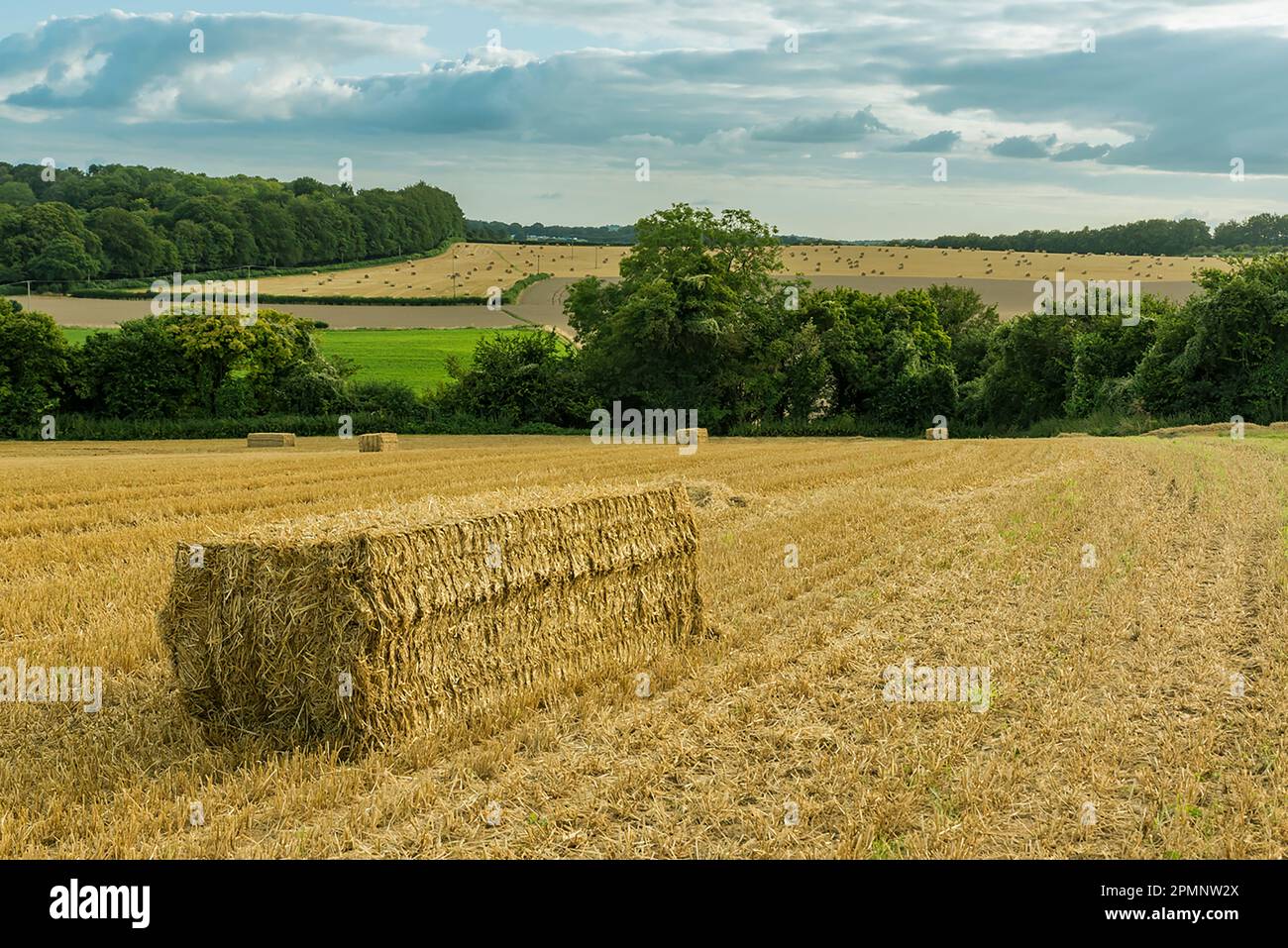 Scenic view of the countryside with rectangular straw bales dotting the ...
