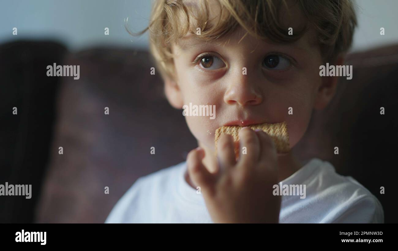 One small boy eating cookie hi-res stock photography and images - Alamy