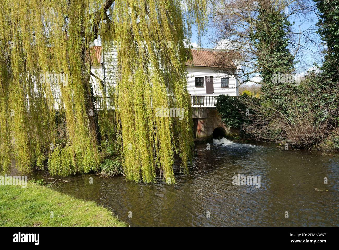 Loddon Mill, pictured from the Staithe, Norfolk, UK Stock Photo - Alamy