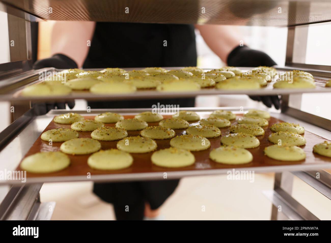 Chef placing a tray full of colorful macarons on a metal shelf with ...
