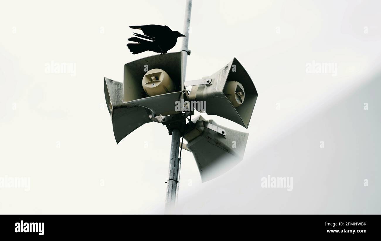 Tall column with four gray loudspeakers in a circle. Hazard warning ...