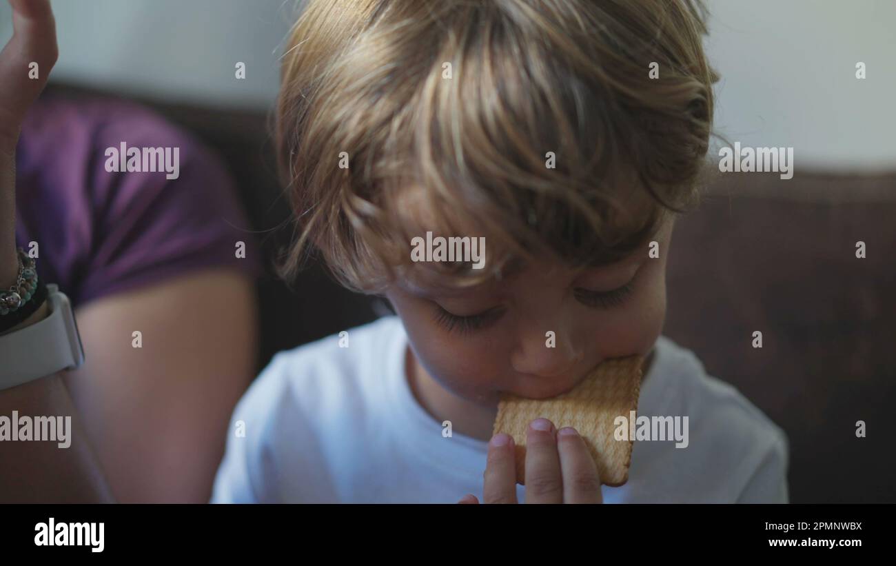 One small boy eating cookie. Closeup face child eats snack. kid ...