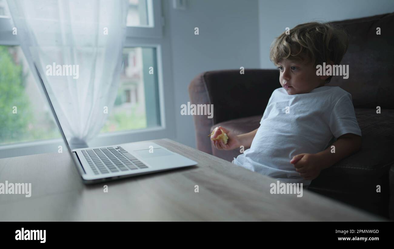 One Small boy watching movie in front of laptop at home. Child staring ...