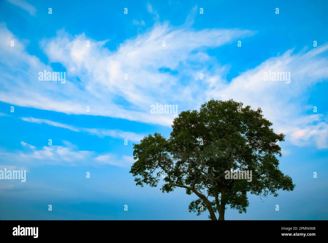 Masons island hi-res stock photography and images - Alamy