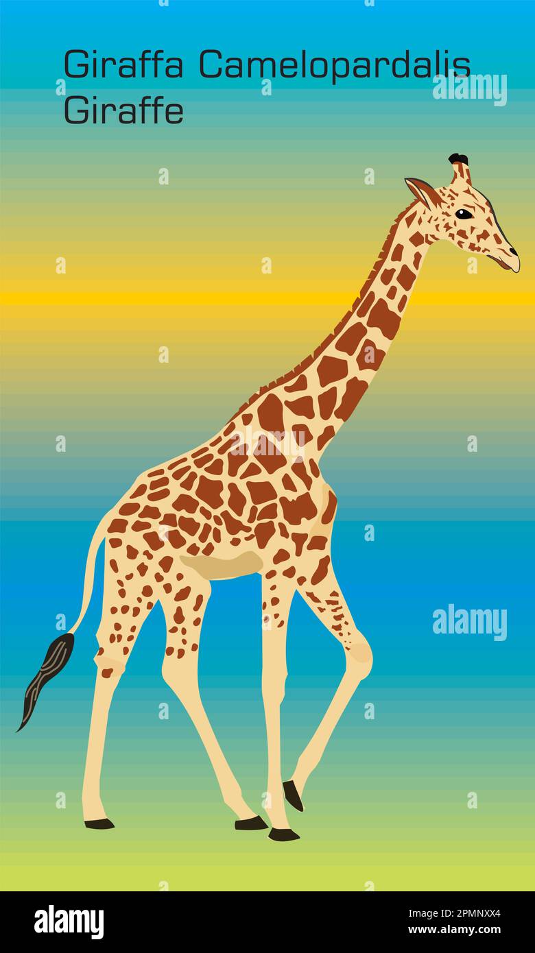 Abstract illustration of Giraffe - Illustration, Isolated Giraffe Stock ...
